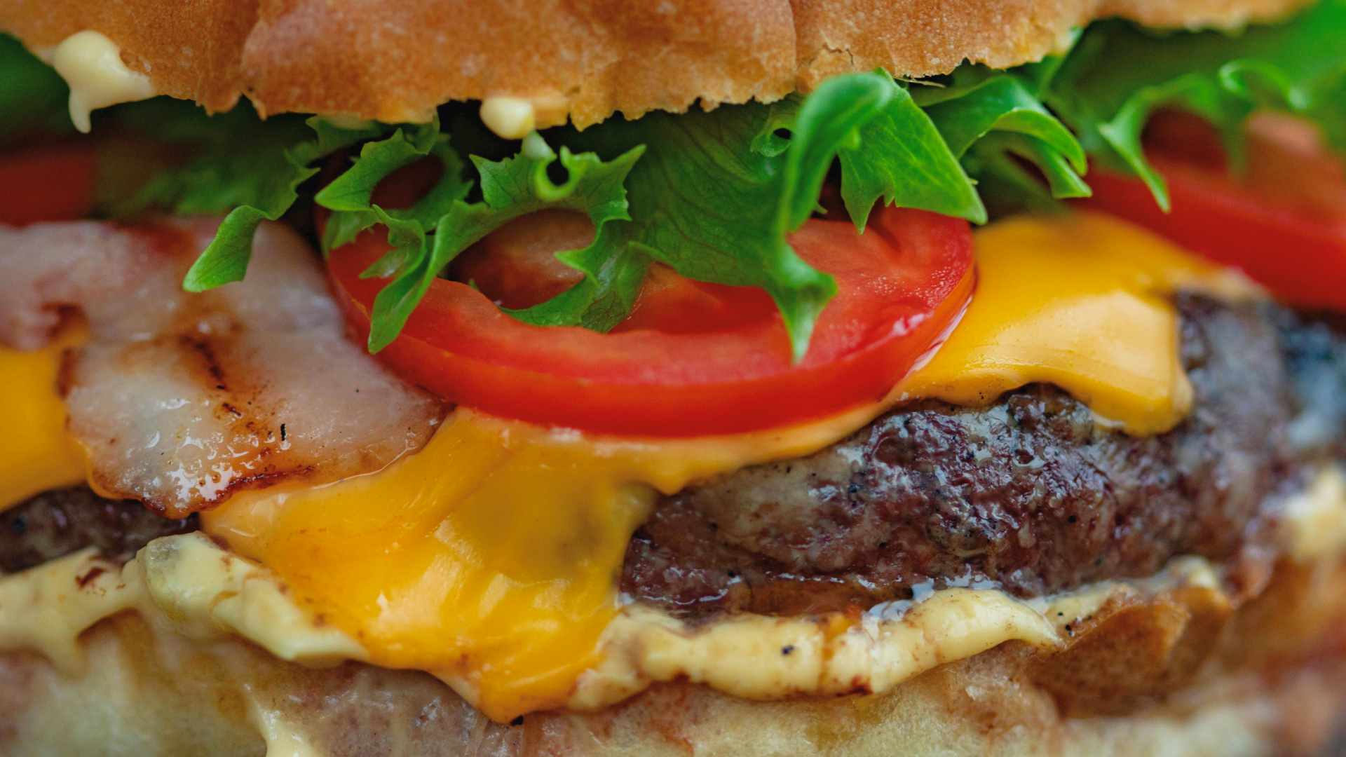 Family investor in sustainable growth champions